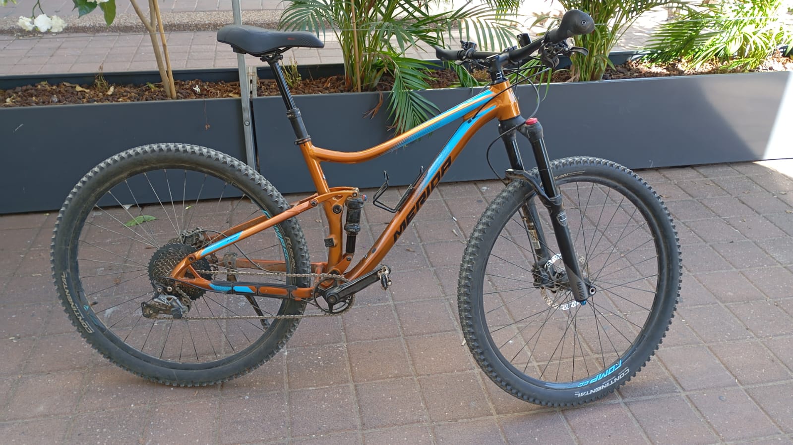 MERIDA 120 600 M - סניף רעננה
